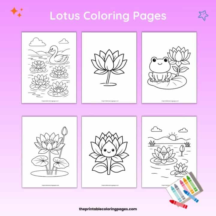Free Printable Lotus Coloring Pages and Templates for Kids - The ...