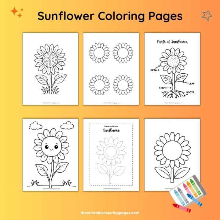 Sunflower Coloring Pages: Free Printable Sheets and Activity Templates ...