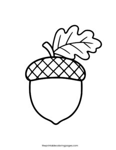 Free Printable Acorn Coloring Pages & Templates - The Printable ...