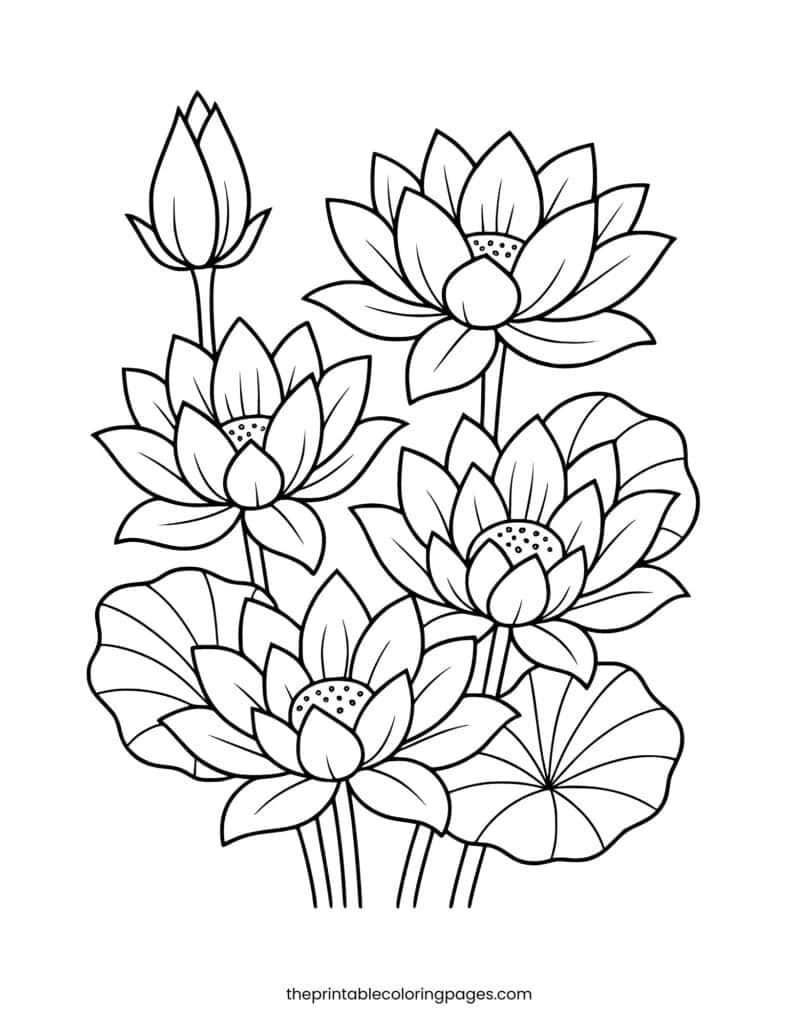 Free Printable Lotus Coloring Pages and Templates for Kids - The ...