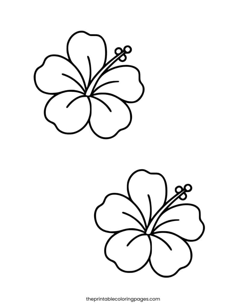 38 Easy Flower Coloring Pages and Simple Flower Templates for Kids ...