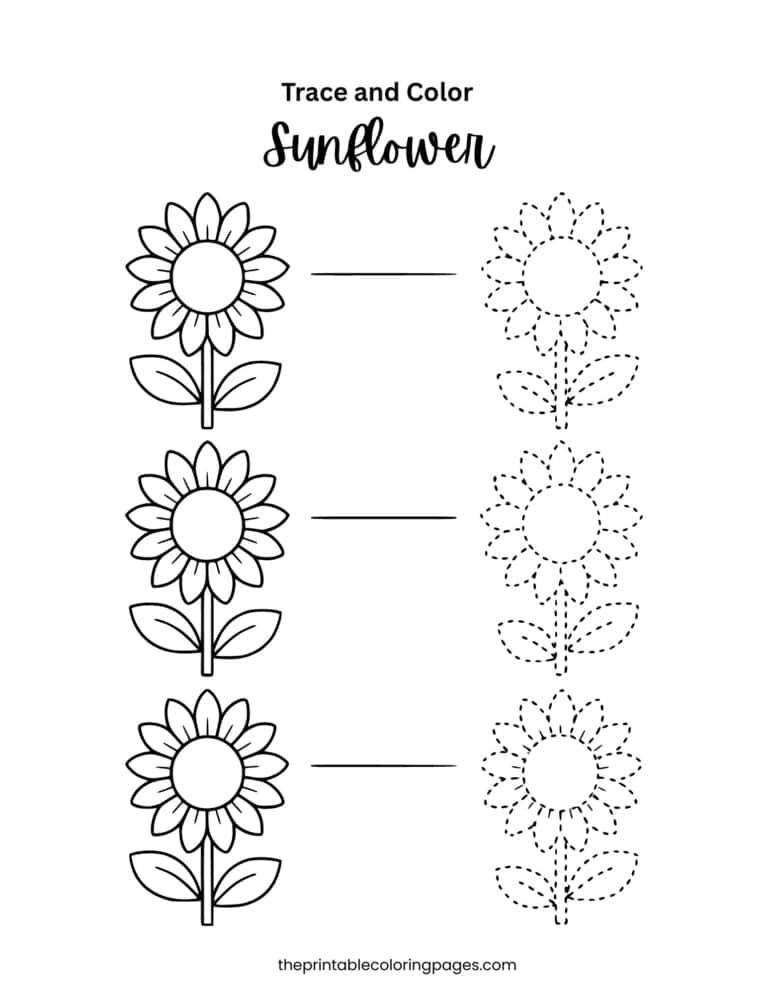 Sunflower Coloring Pages: Free Printable Sheets and Activity Templates ...